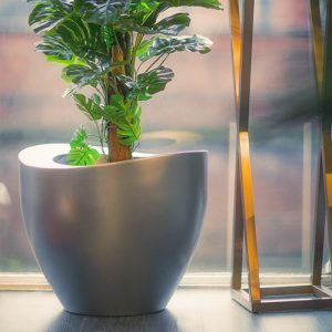 Irregular Planters – Europlanters